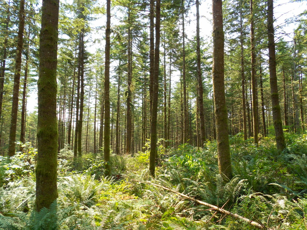 Lands Conserved in the Greenway - Mountains To Sound Greenway Trust