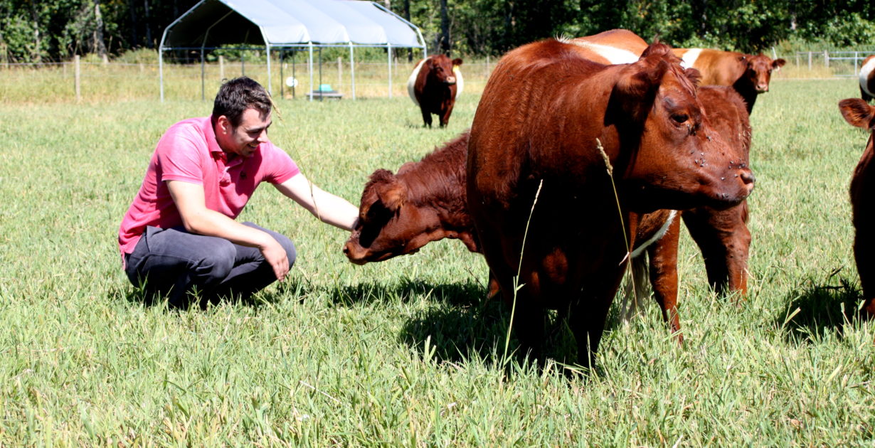 Chef-to-Farm connects culinary students with local farms - Mountains To ...