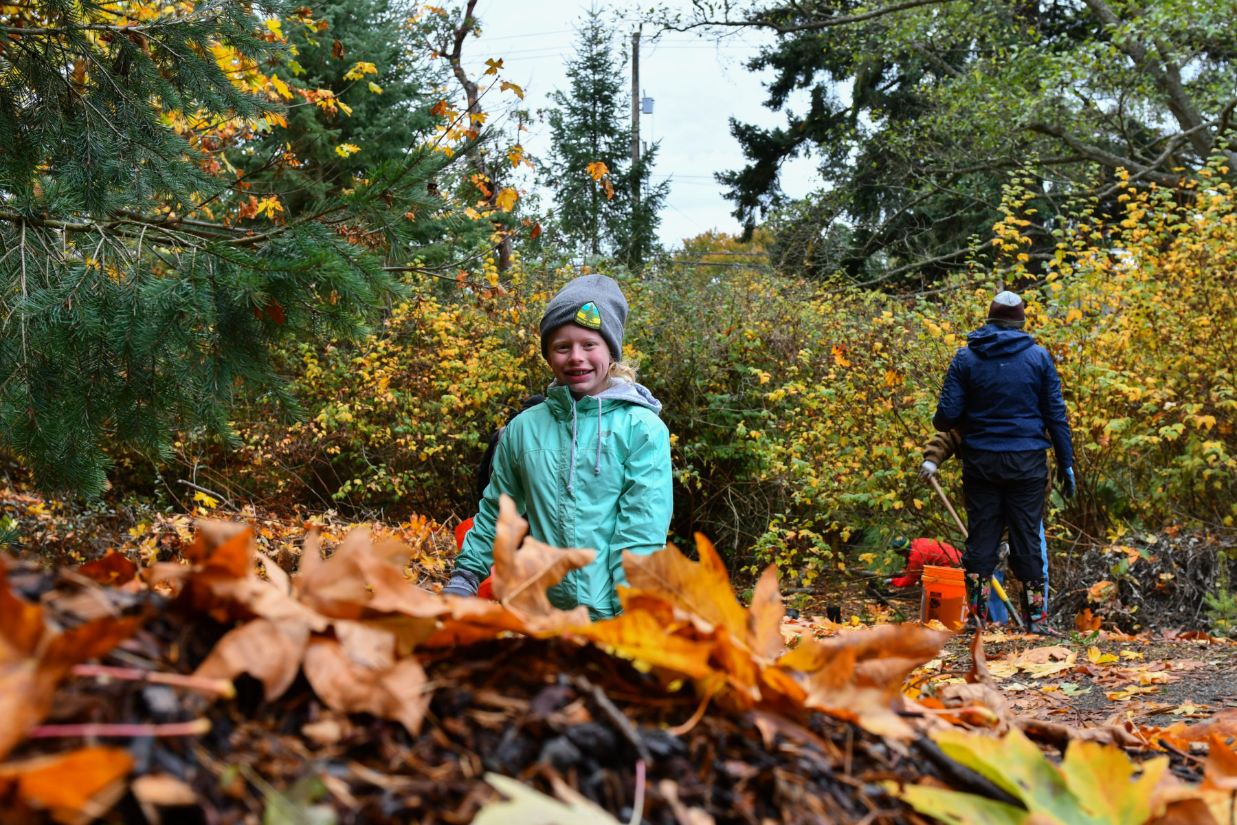 GSD_childwithleaves_Andy Watson - Mountains To Sound Greenway Trust