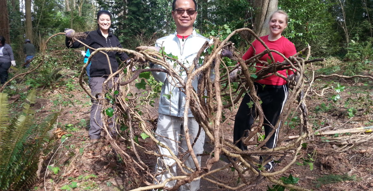 Maintenance and Mulching at Gallagher Hill - Mountains To Sound ...