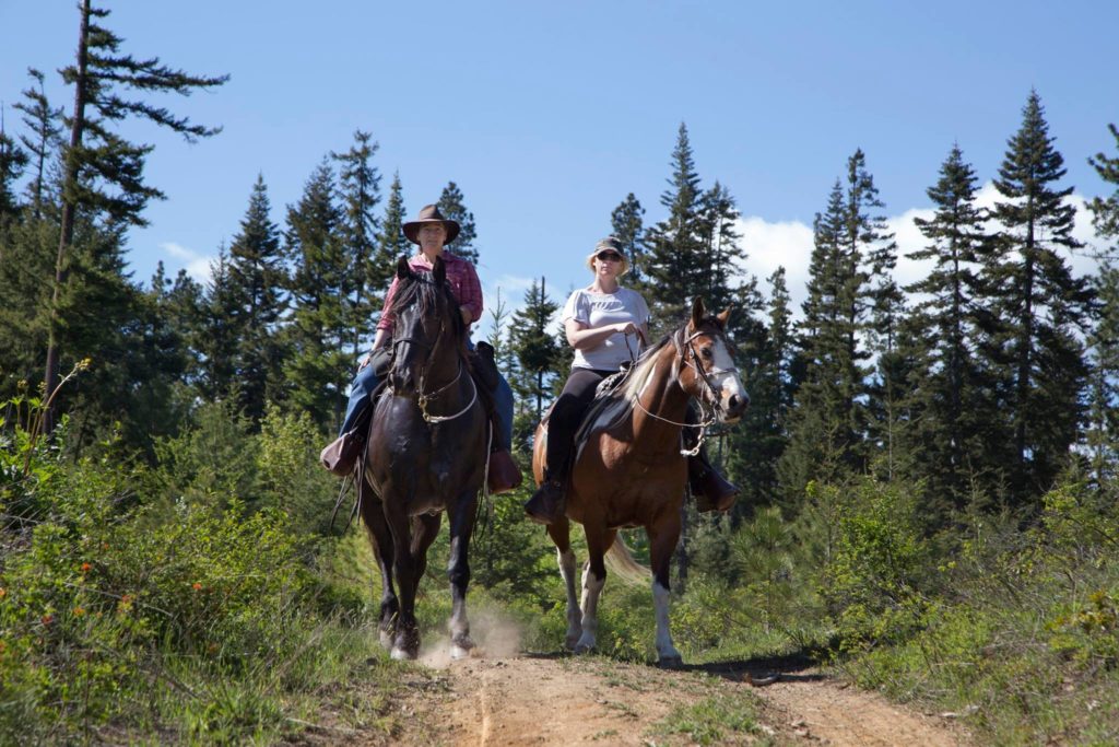 Trail Plans Unveiled for Towns to Teanaway - Mountains To Sound ...