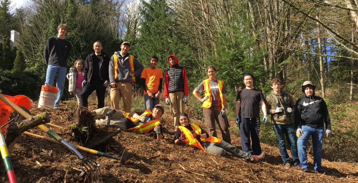 Restoration at Gallagher Hill - Mountains To Sound Greenway Trust