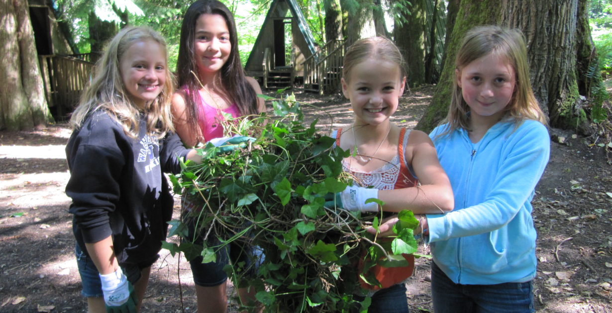 YMCA Camp Terry Tree Planting - Mountains To Sound Greenway Trust