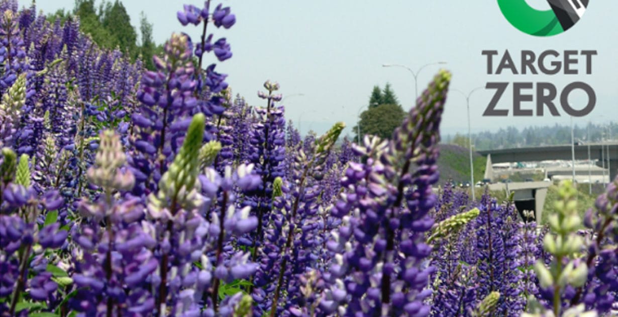 2019 Target Zero Plan Update - Mountains To Sound Greenway Trust