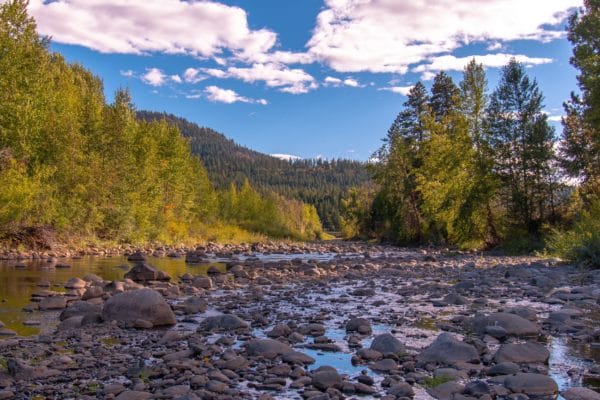 Teanaway Community Forest - Mountains To Sound Greenway Trust