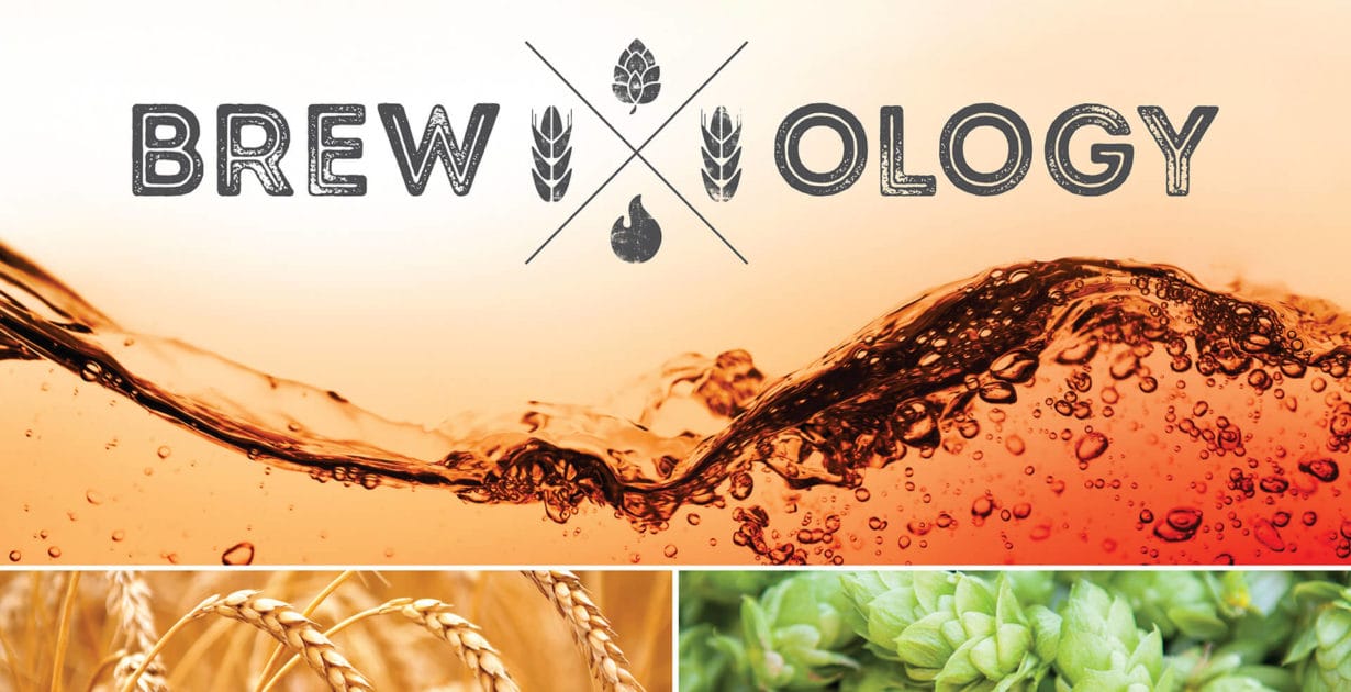 Virtual Brewology - Mountains To Sound Greenway Trust