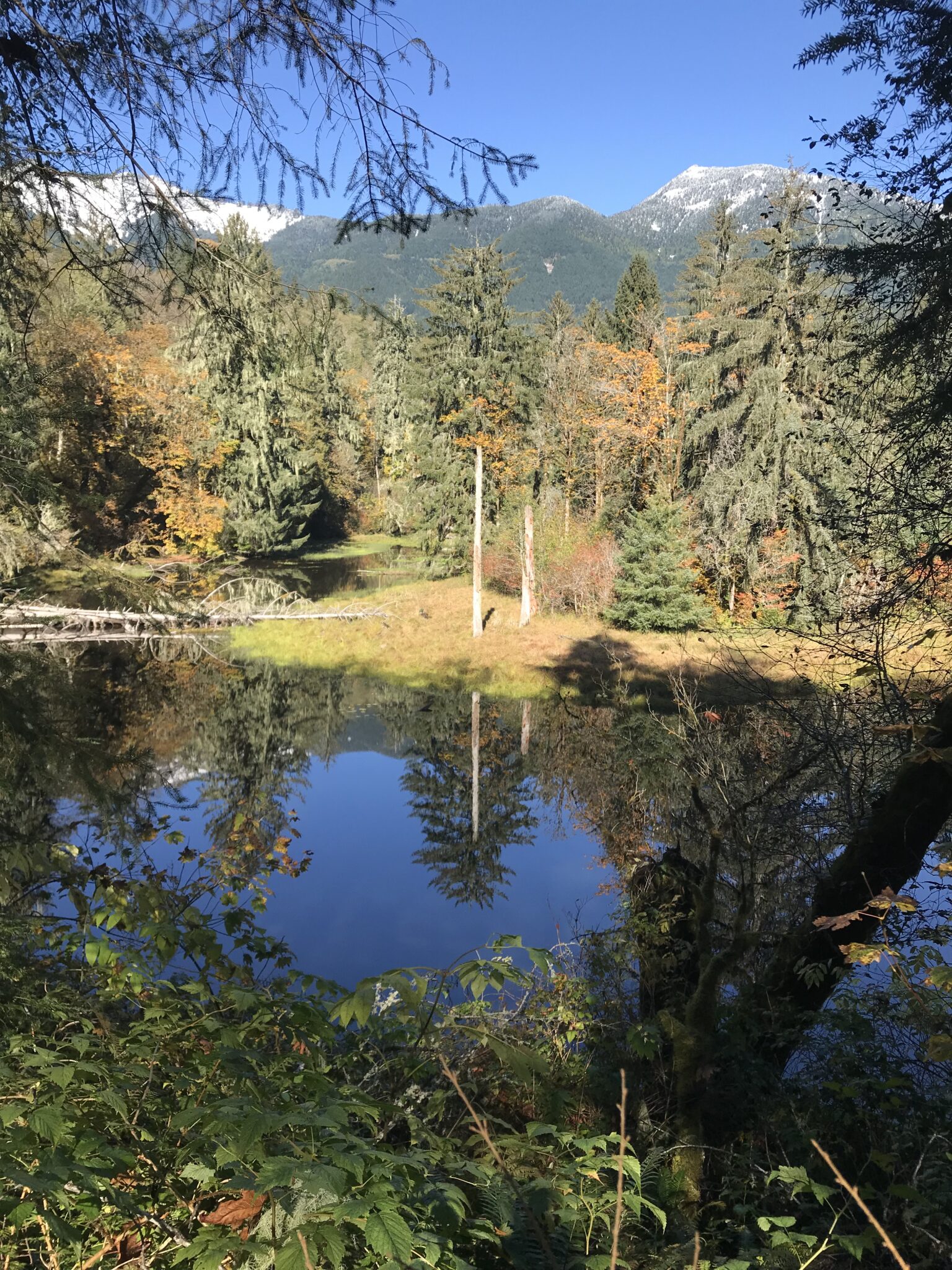 Oxbow Loop Trail - Mountains To Sound Greenway Trust