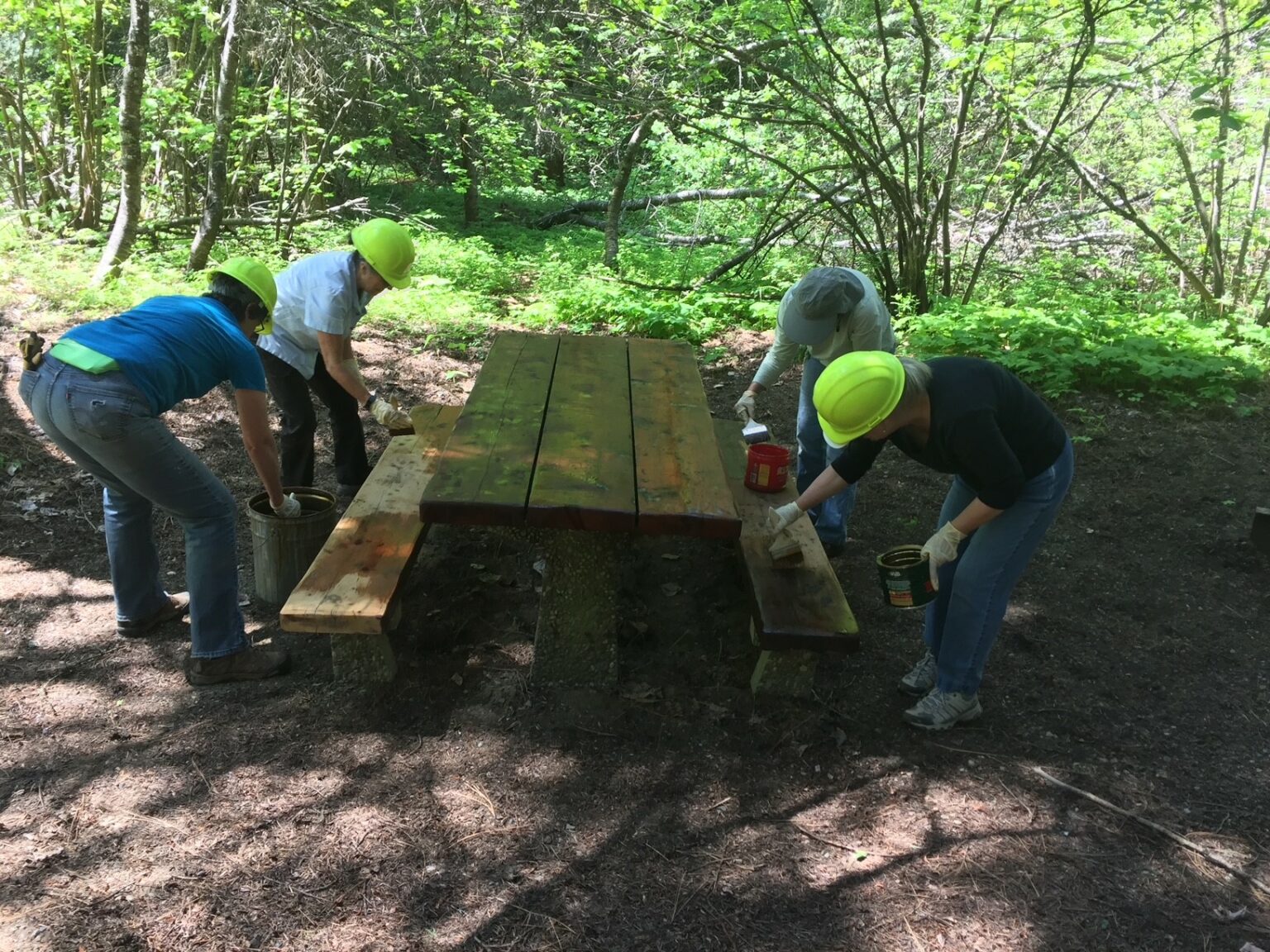 21 Accomplishments to Celebrate in 2021 - Mountains To Sound Greenway Trust