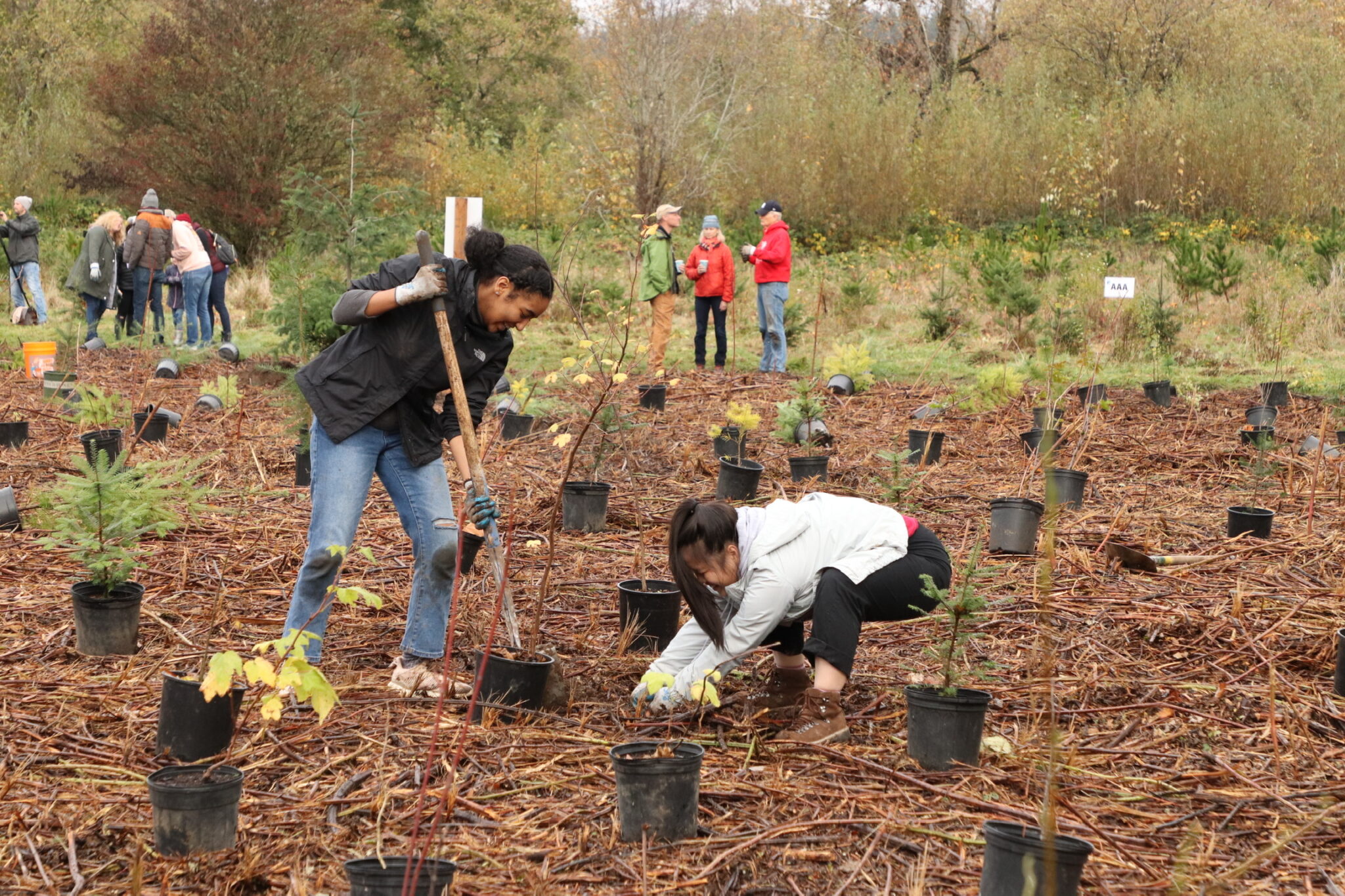 Mountains to Sound Greenway Trust - Connecting Ecosystems & Communities