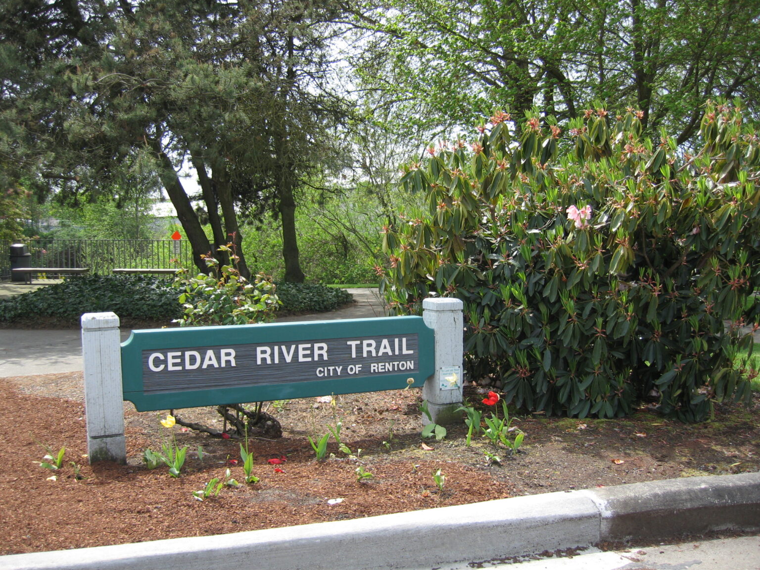 Cedar River Trail - Mountains To Sound Greenway Trust